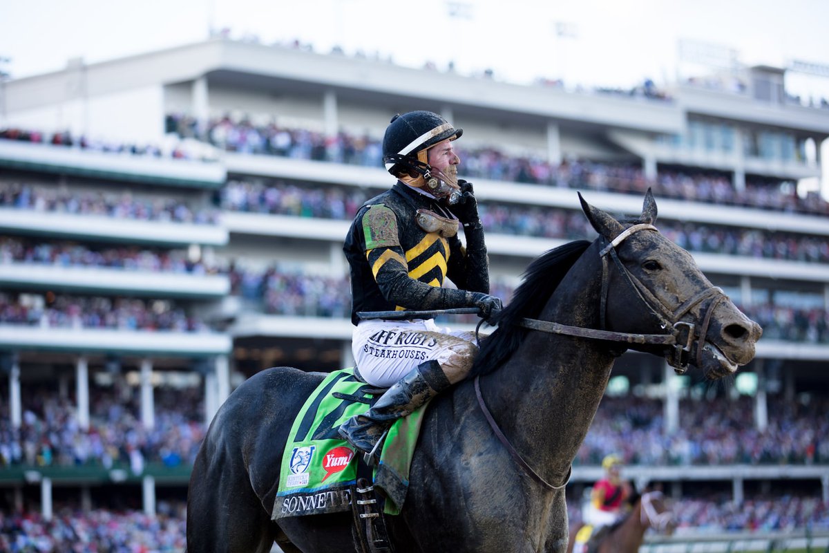 Equus - Story of the Horse